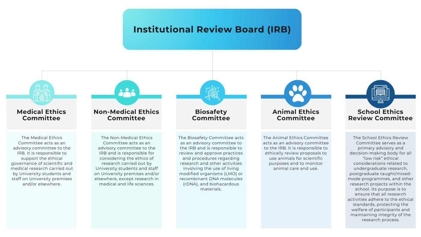 Institutional Review Board